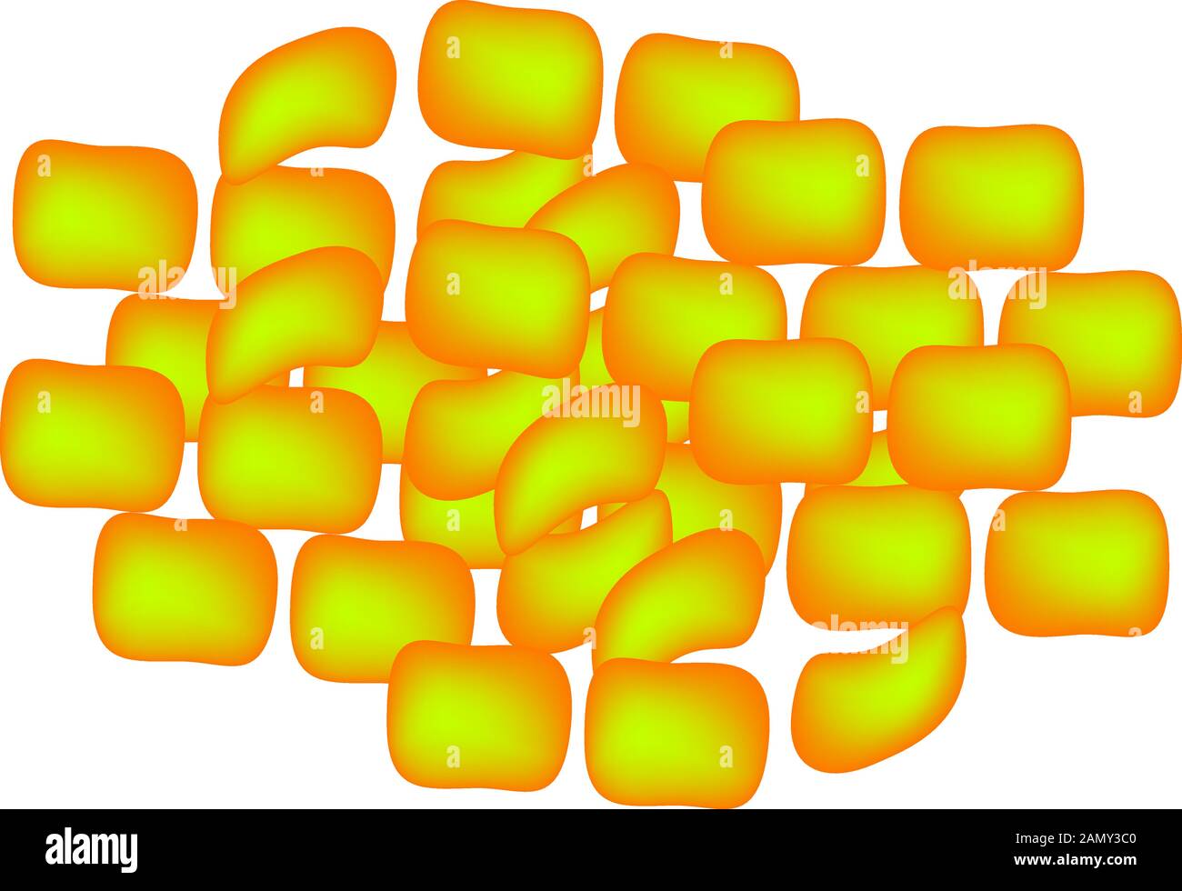 lactobacillus. Probiotic. Lactococcus lactis. Infographics. Vector ...