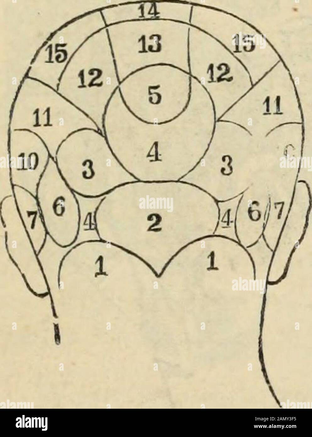 Body of influence 2 hi-res stock photography and images - Alamy