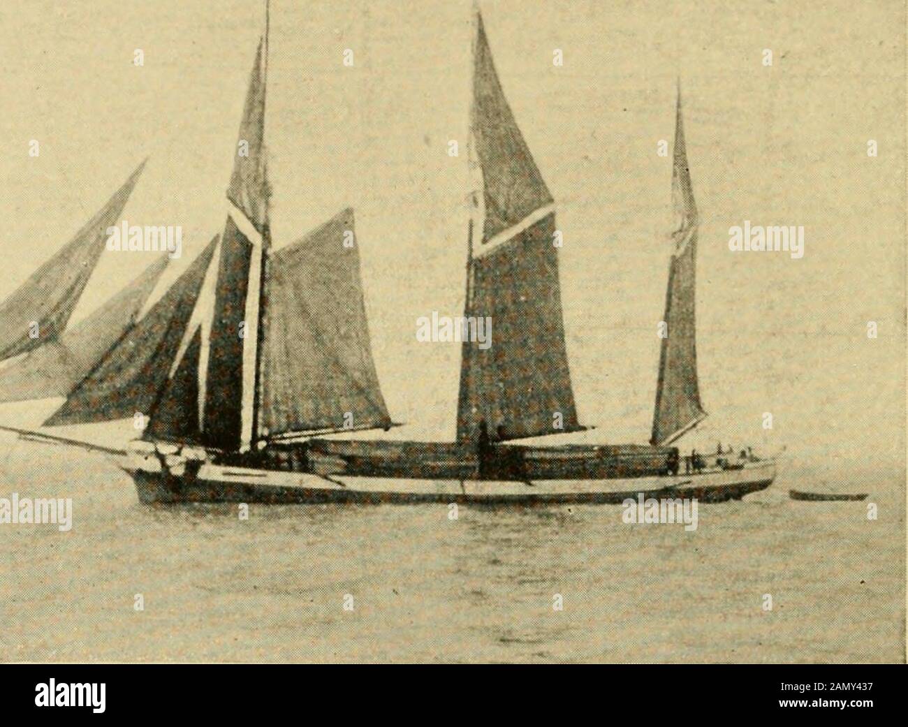 Conning position hi-res stock photography and images - Alamy