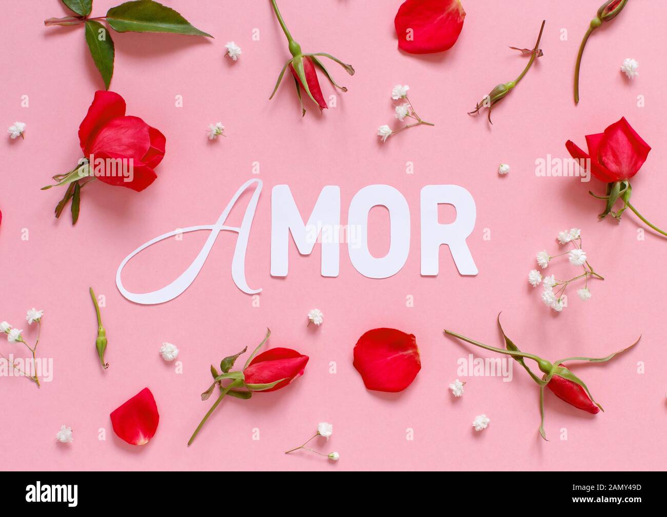 Pink roses and text AMOR on a light pink background top view Stock ...