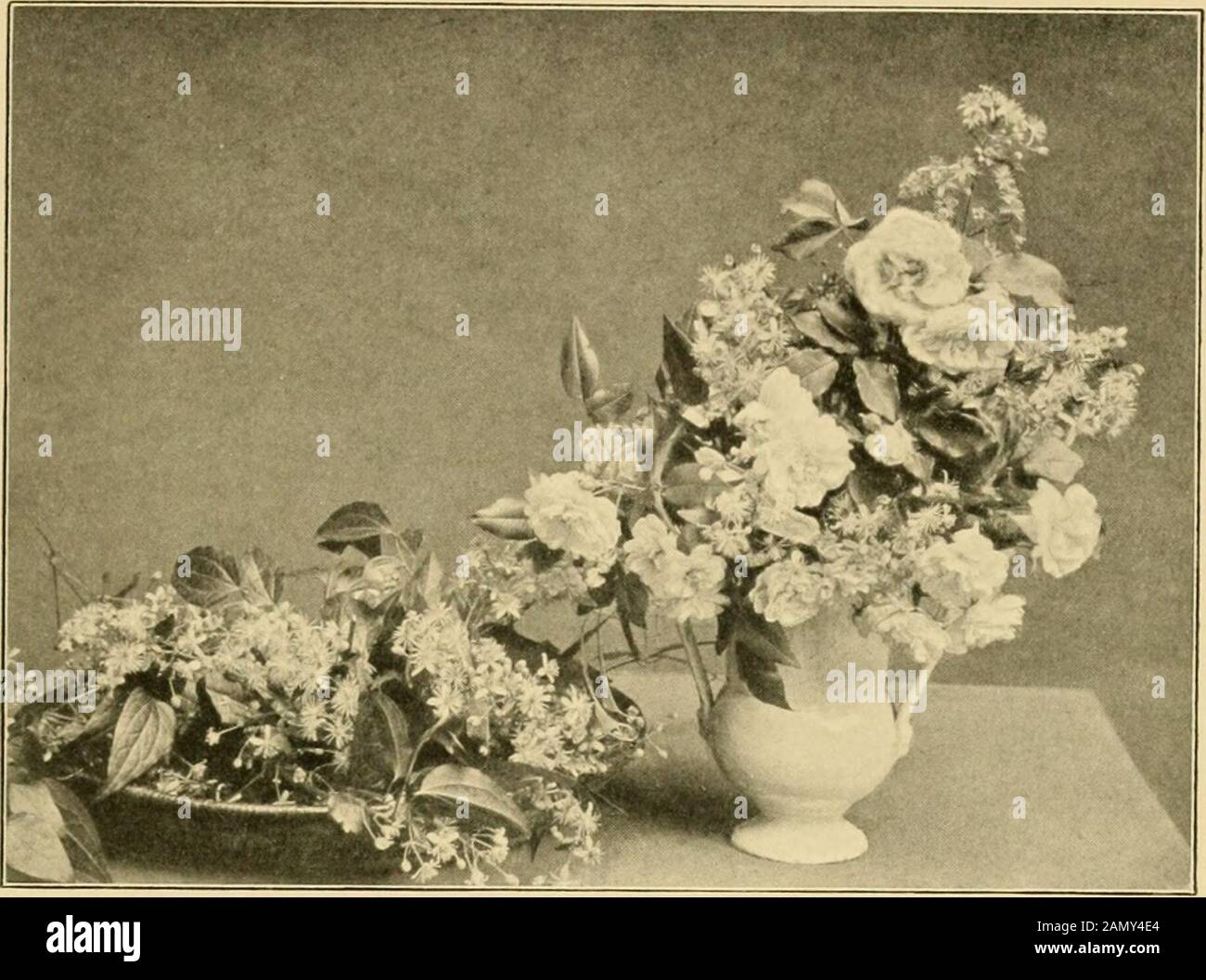 Terminal clusters hi-res stock photography and images - Alamy