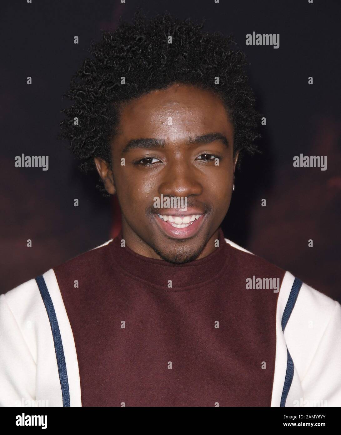 Los Angeles, USA. 14th Jan, 2020. Caleb McLaughlin arrives at the BAD ...