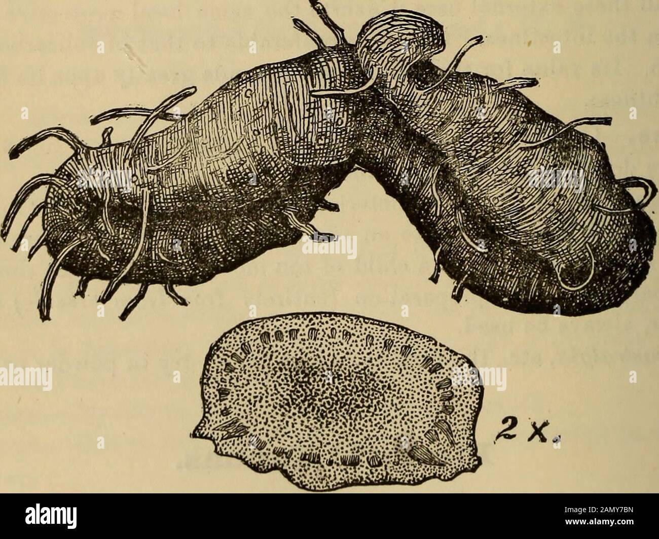 Insoluble In Water High Resolution Stock Photography and Images - Alamy