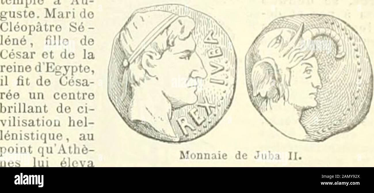 Arbre dit hi-res stock photography and images - Alamy