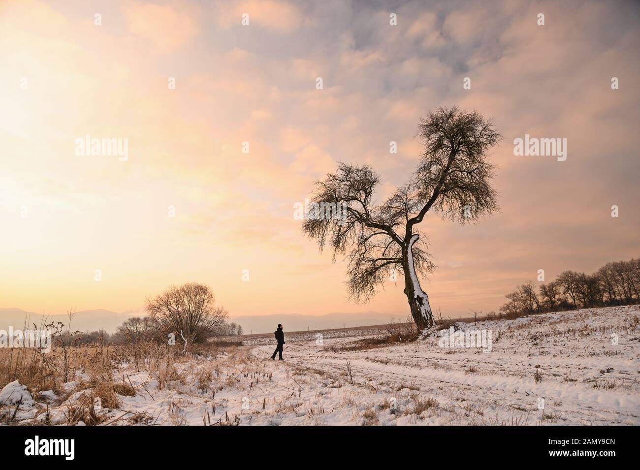 Loneliness concept photo. alone man walking in morning winter landscape ...