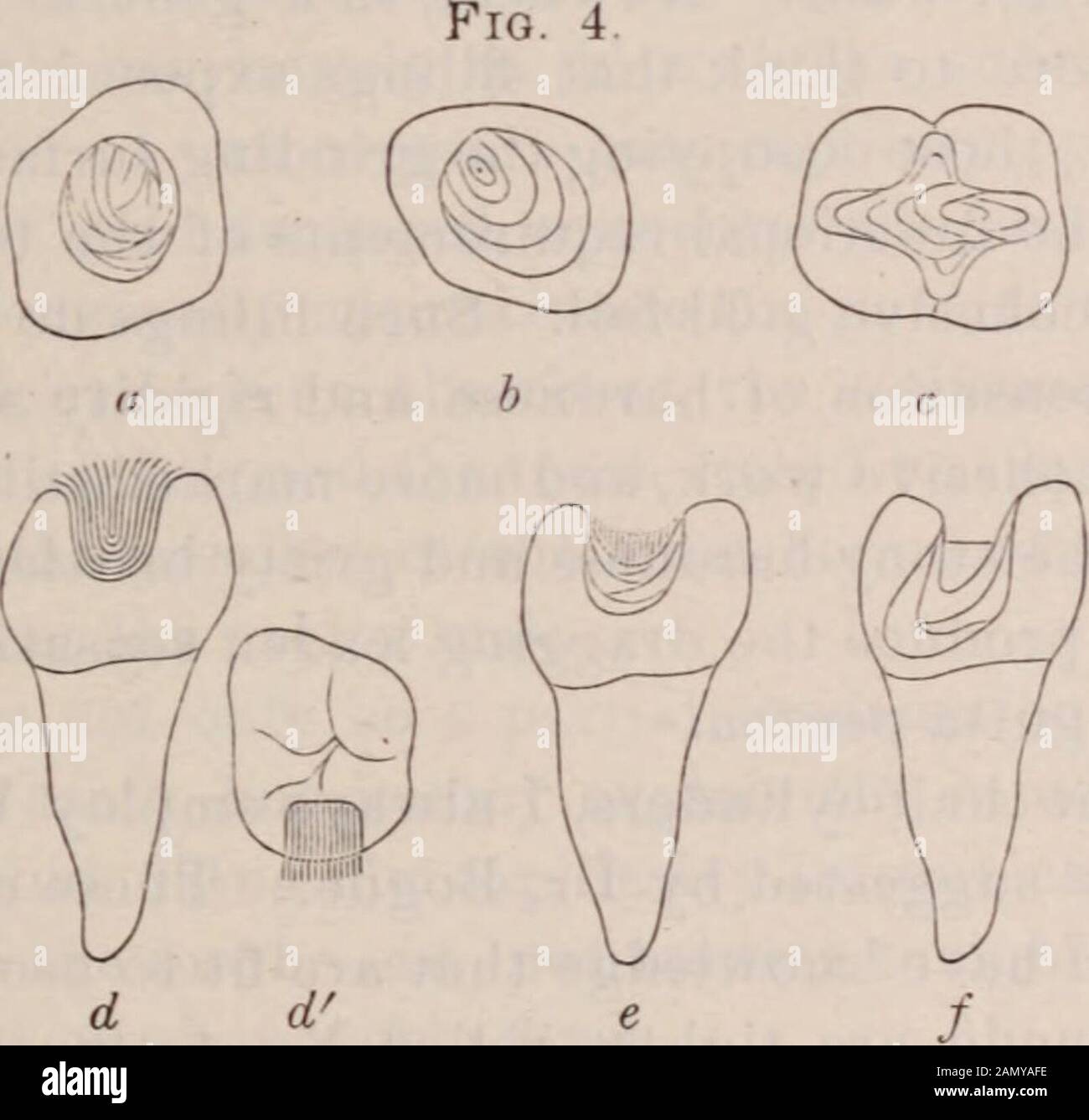 Concave cylinder hi-res stock photography and images - Alamy