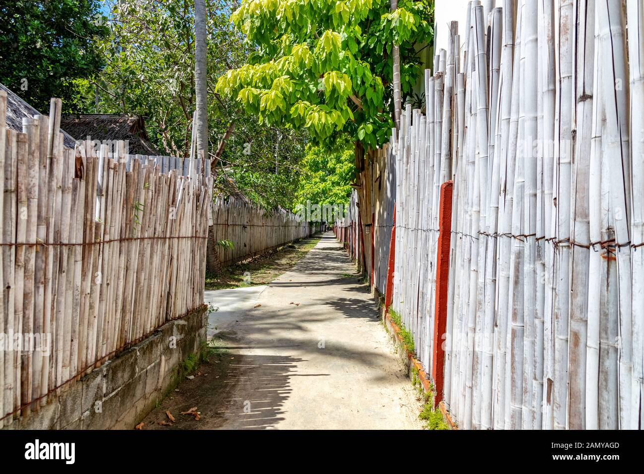 Narrow street alley with bamboo fence on both sides at Phi Phi Islands ...