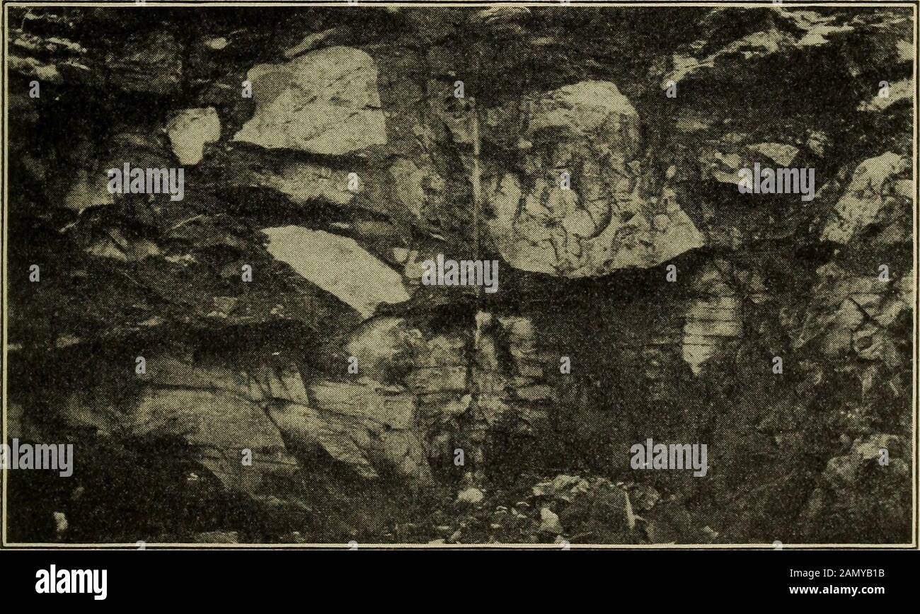 Bulletin of the Geological Society of America . Figure 2.—Limestone ...