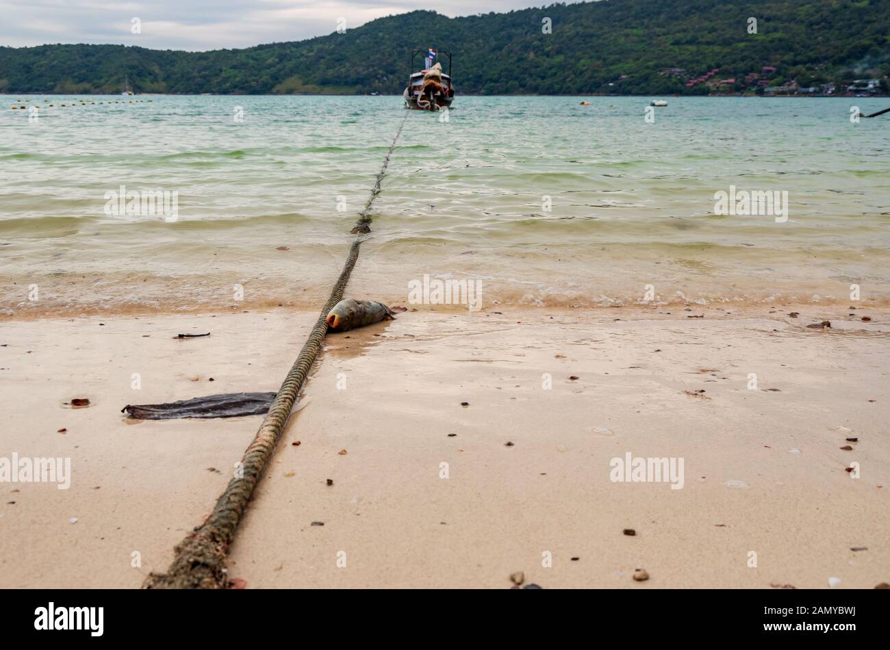 A dead fish washed ashore at a beach in Phi Phi Island. Climate change ...