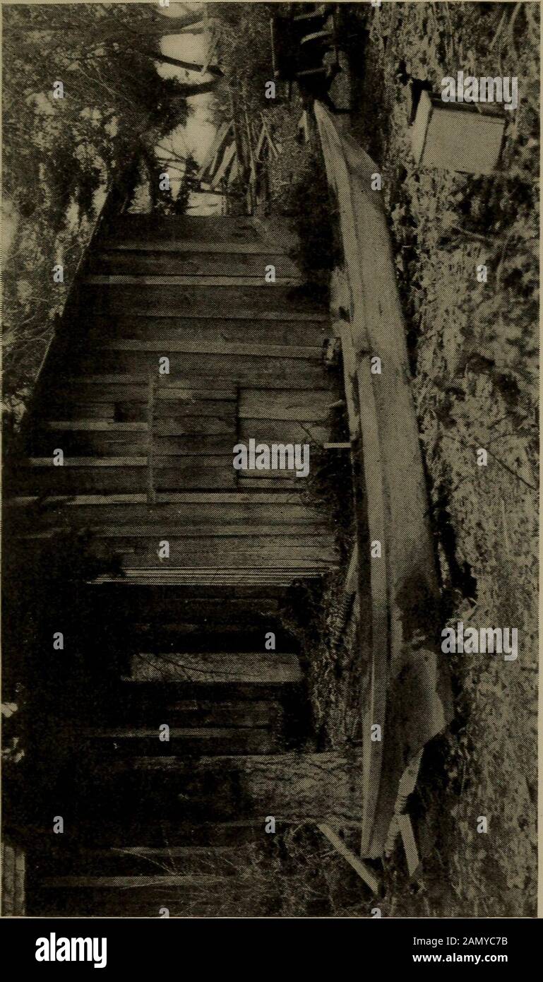 Chinook canoe hi-res stock photography and images - Alamy