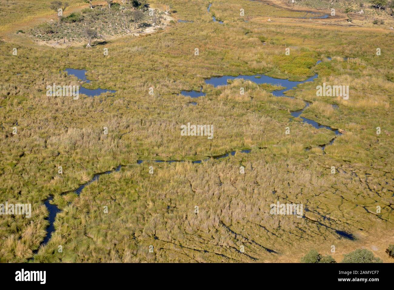 Botswana, Okawango delta Stock Photo - Alamy