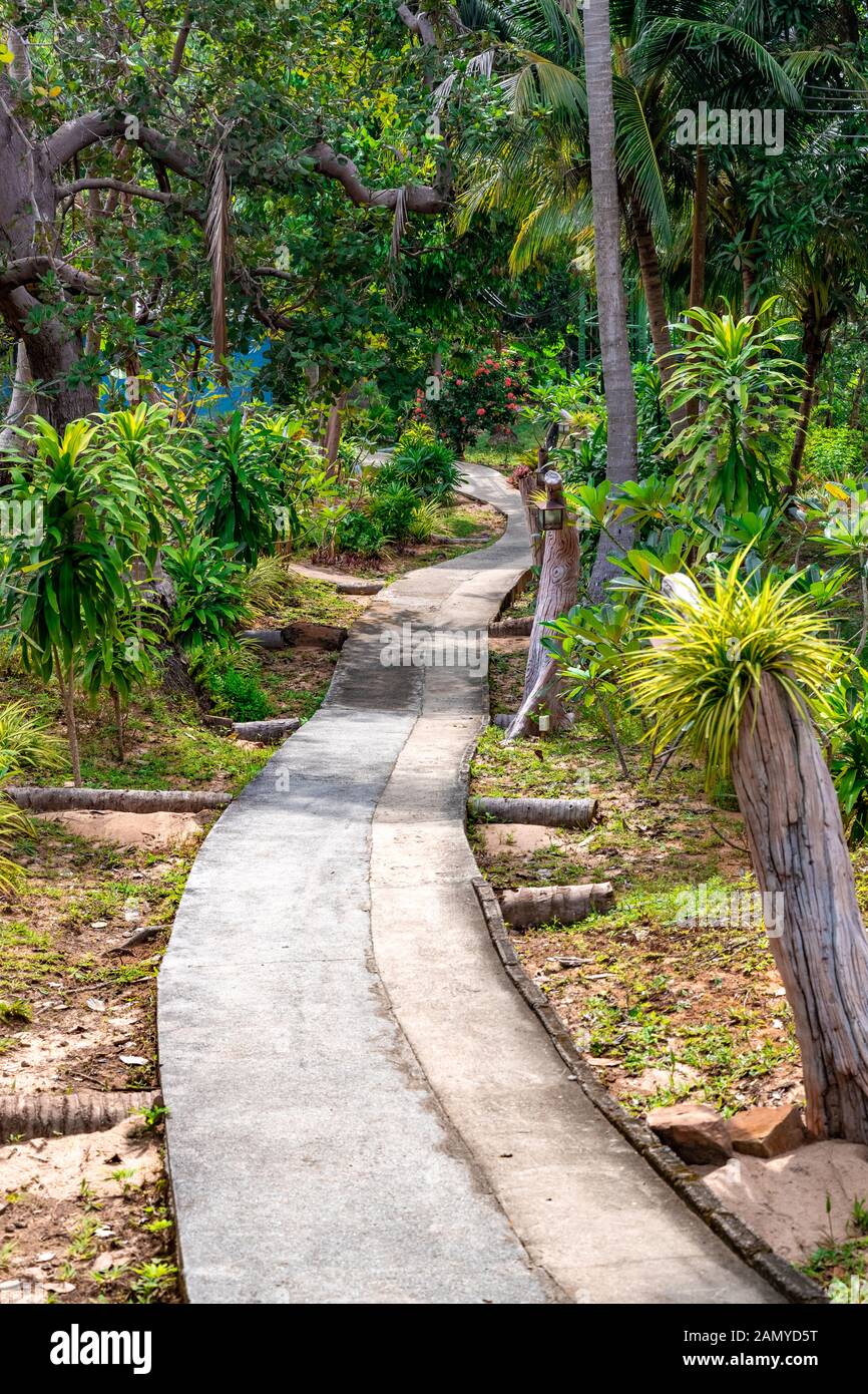 Narrow concrete uphill walkway through the mountain and forests leading ...