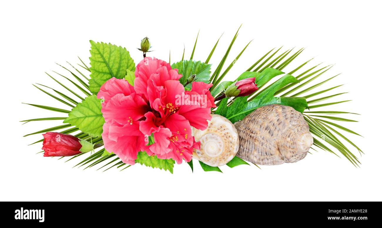 Seashells with palm leaves, hibiscus flower and buds in a holiday ...
