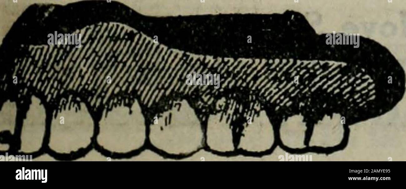 Mrs p t campbell hi-res stock photography and images - Alamy