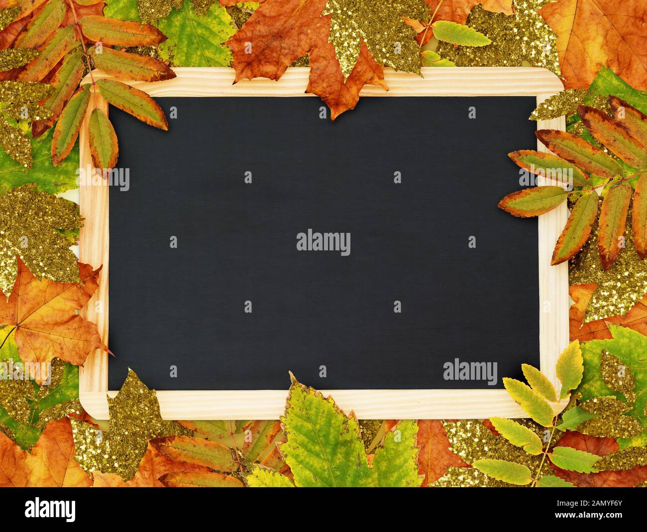 Colorful and golden autumn leaves with a school chalkboard for ...