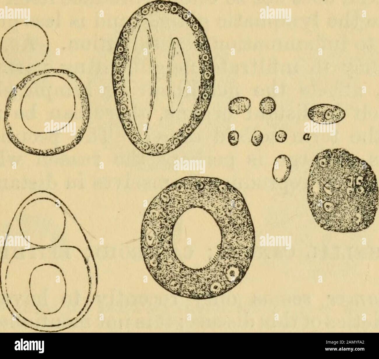 Colloid molecules hi-res stock photography and images - Alamy