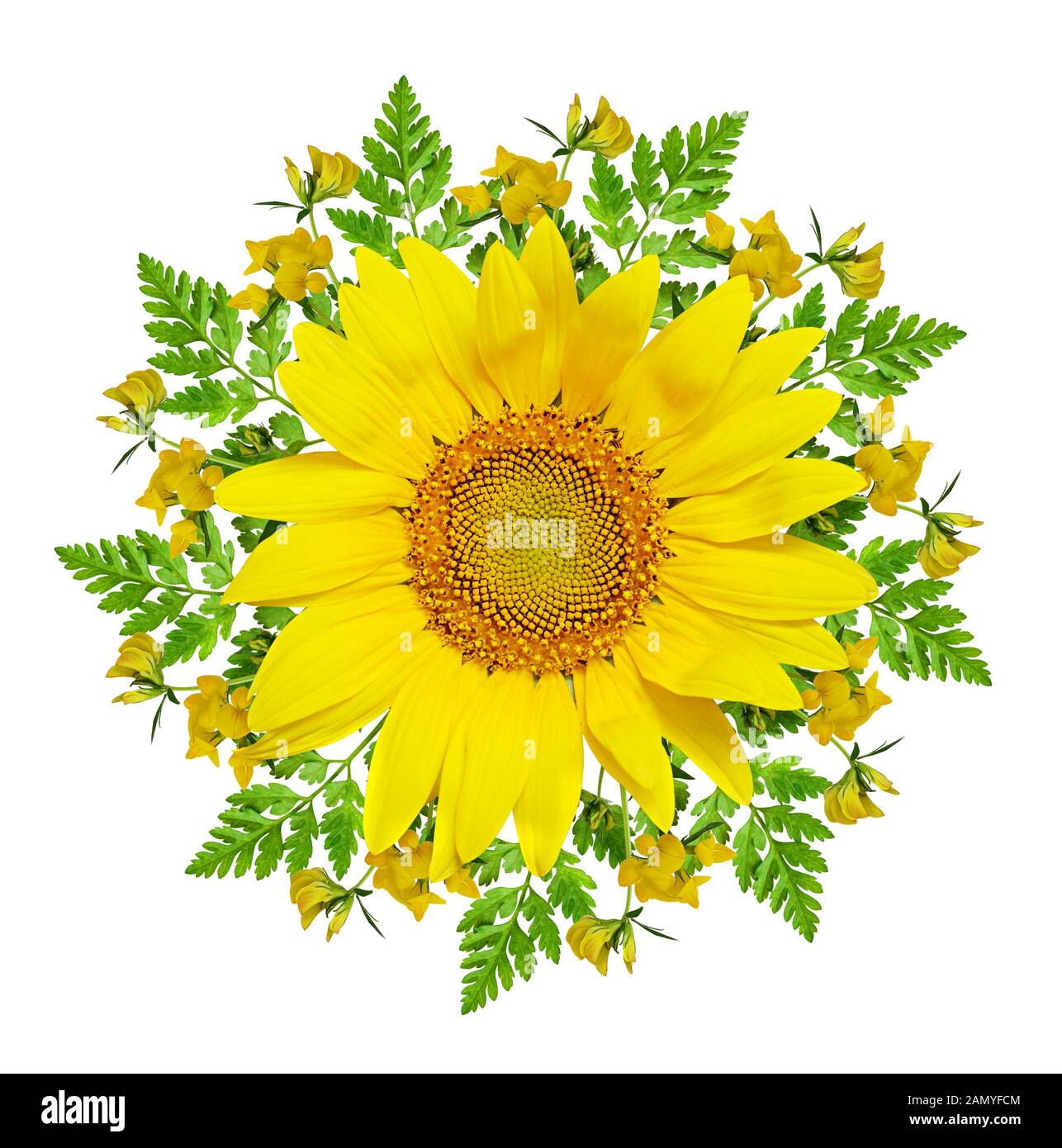 Wild flowers and leaves with sunflower in a summer round arrangement ...