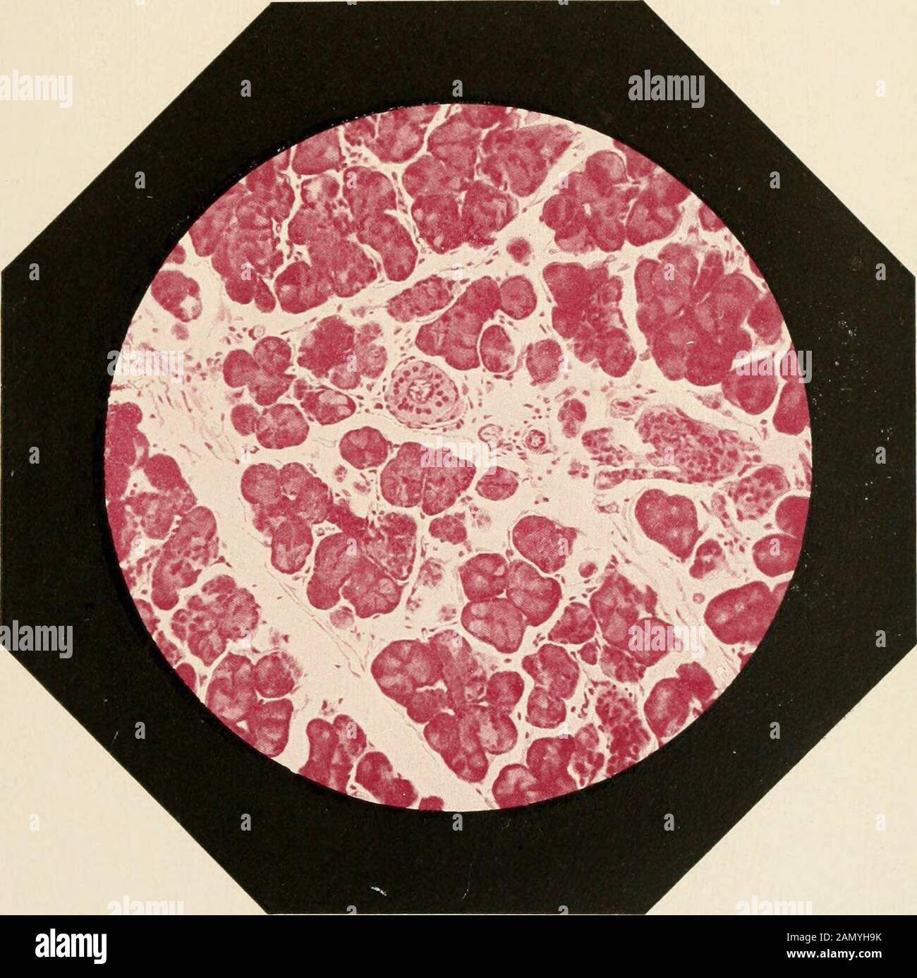 Rabaud High Resolution Stock Photography and Images - Alamy