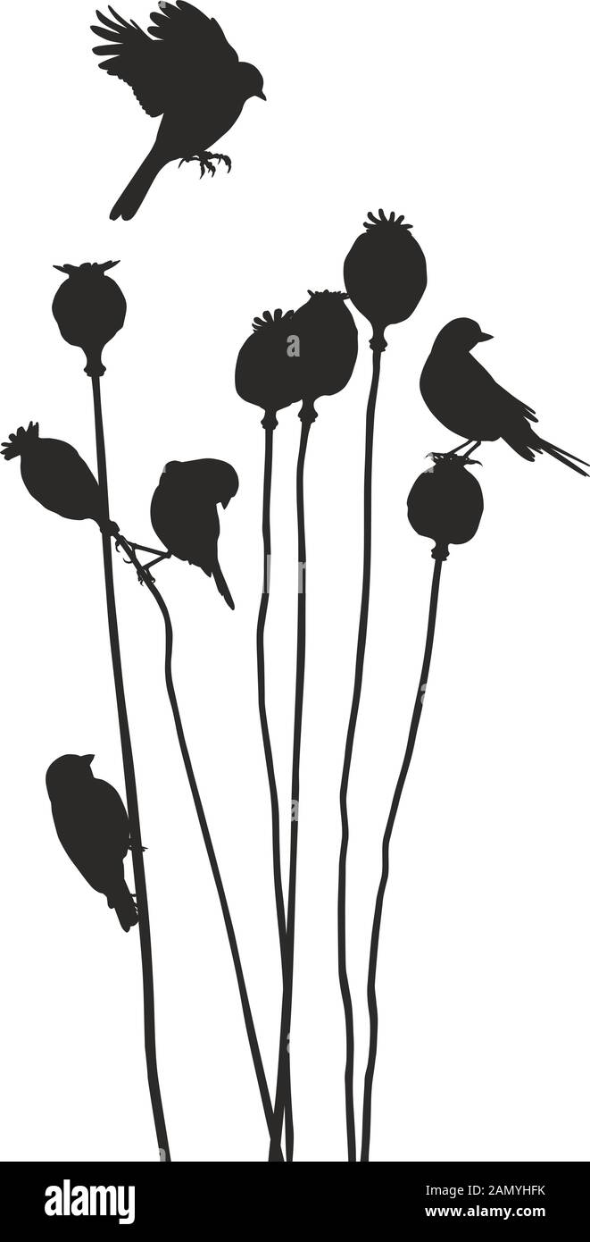 Vintage heads Stock Vector Images - Alamy