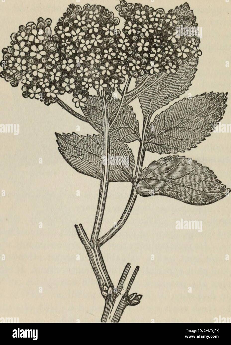 Health knowledge : a thorough and concise knowledge of the prevention ...