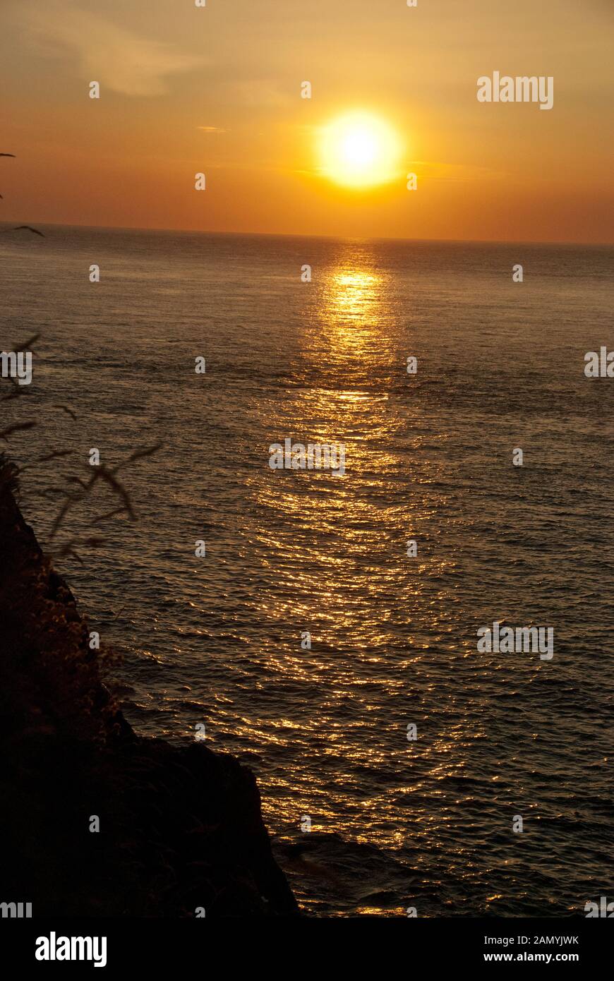 Devon holiday towns hi-res stock photography and images - Alamy