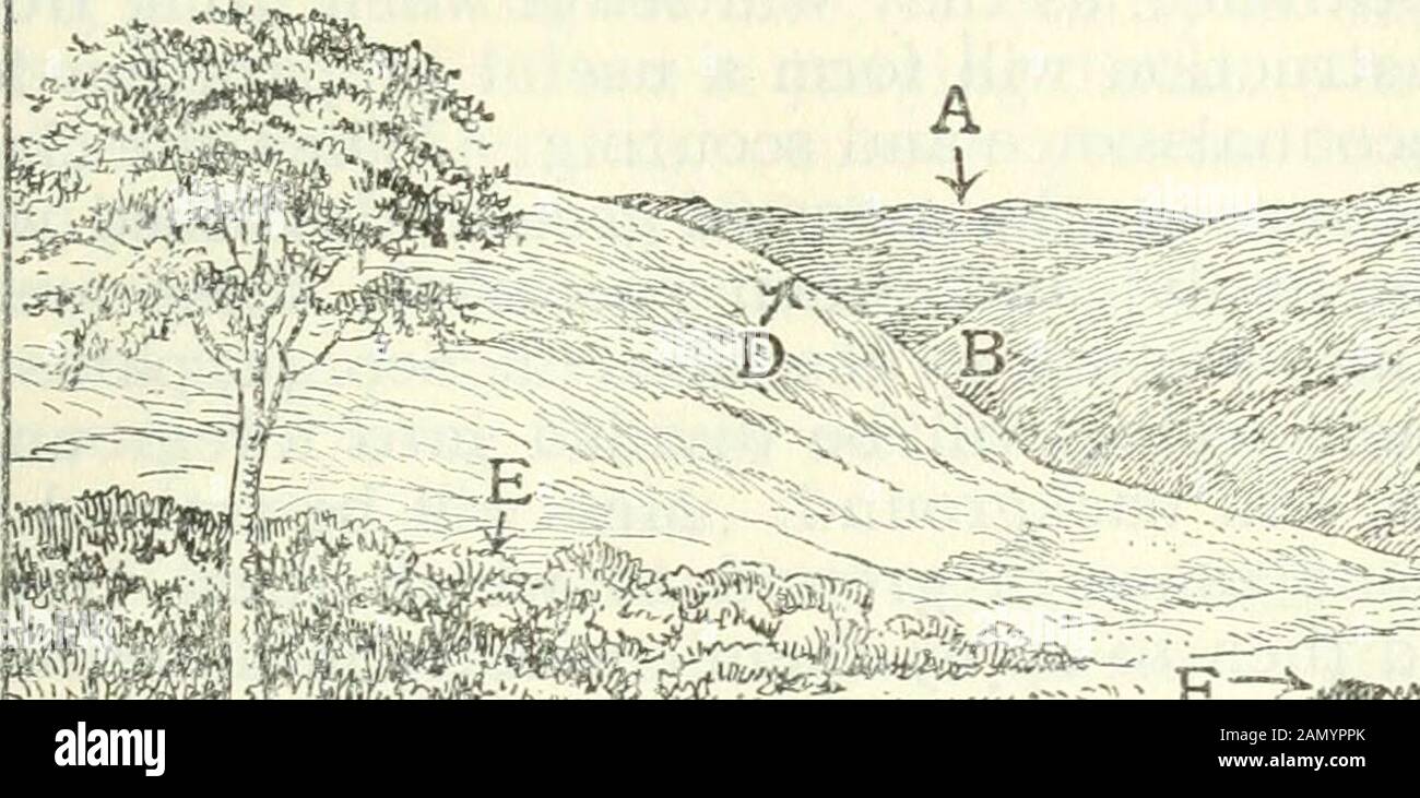 Musketry, (.303 and .22 cartridges) : elementary training, visual ...