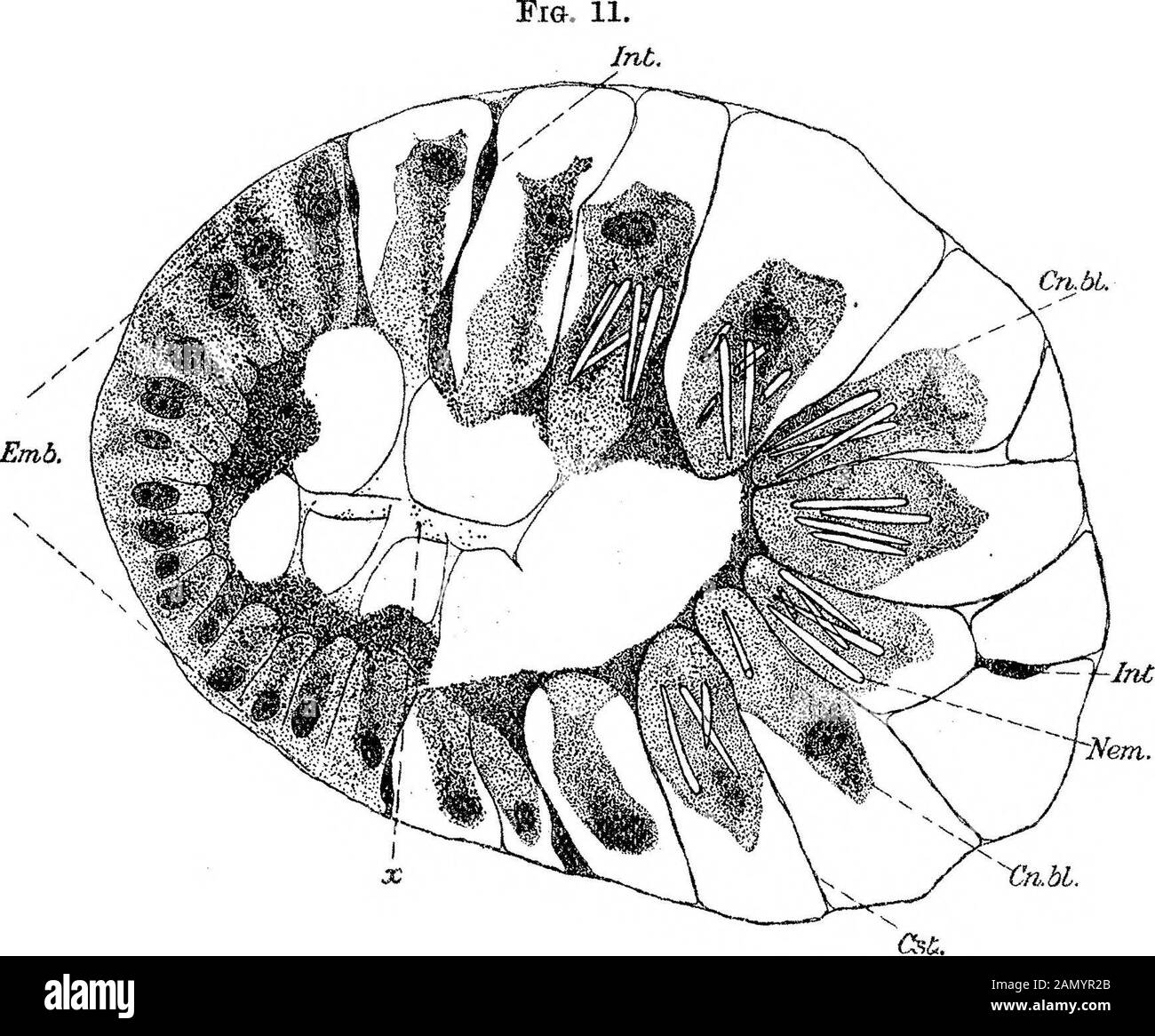 Digestive fluids hi-res stock photography and images - Alamy