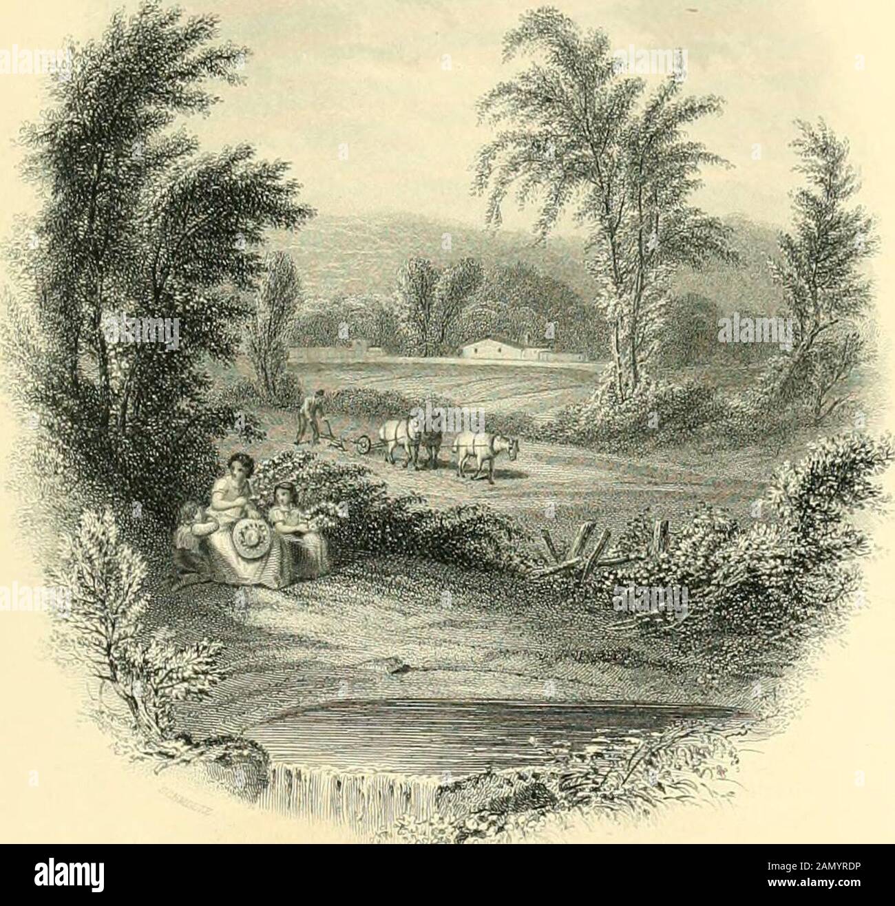 Murmuring trees hi-res stock photography and images - Alamy