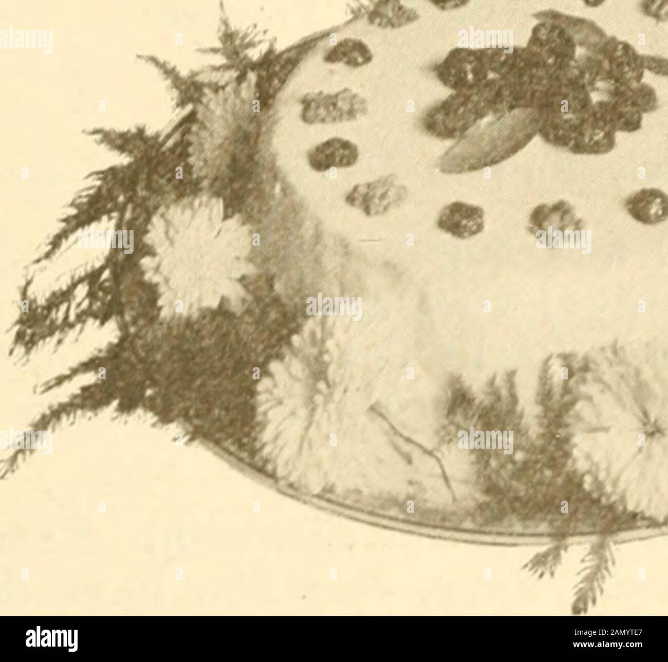 Ispoon hi-res stock photography and images - Alamy