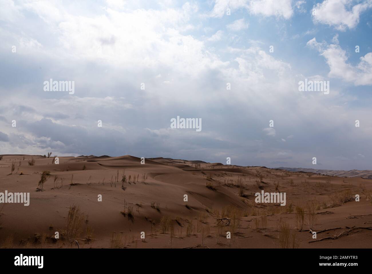 Desert shape hi-res stock photography and images - Alamy