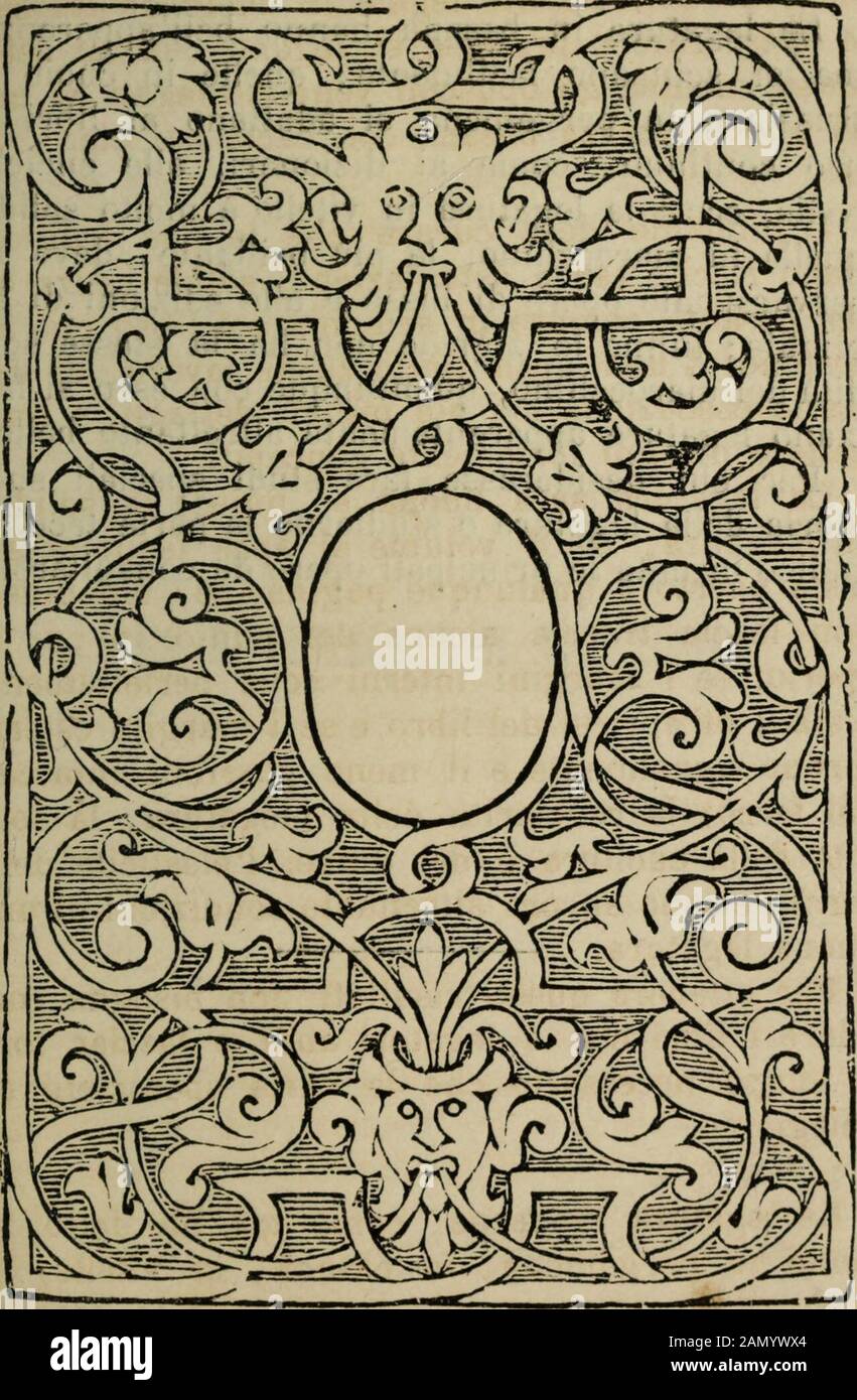 Dorso libro hi-res stock photography and images - Alamy