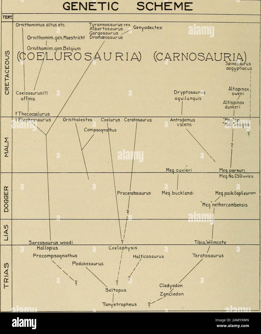 Bulletin of the Geological Society of America . Ornitholestesand also ...