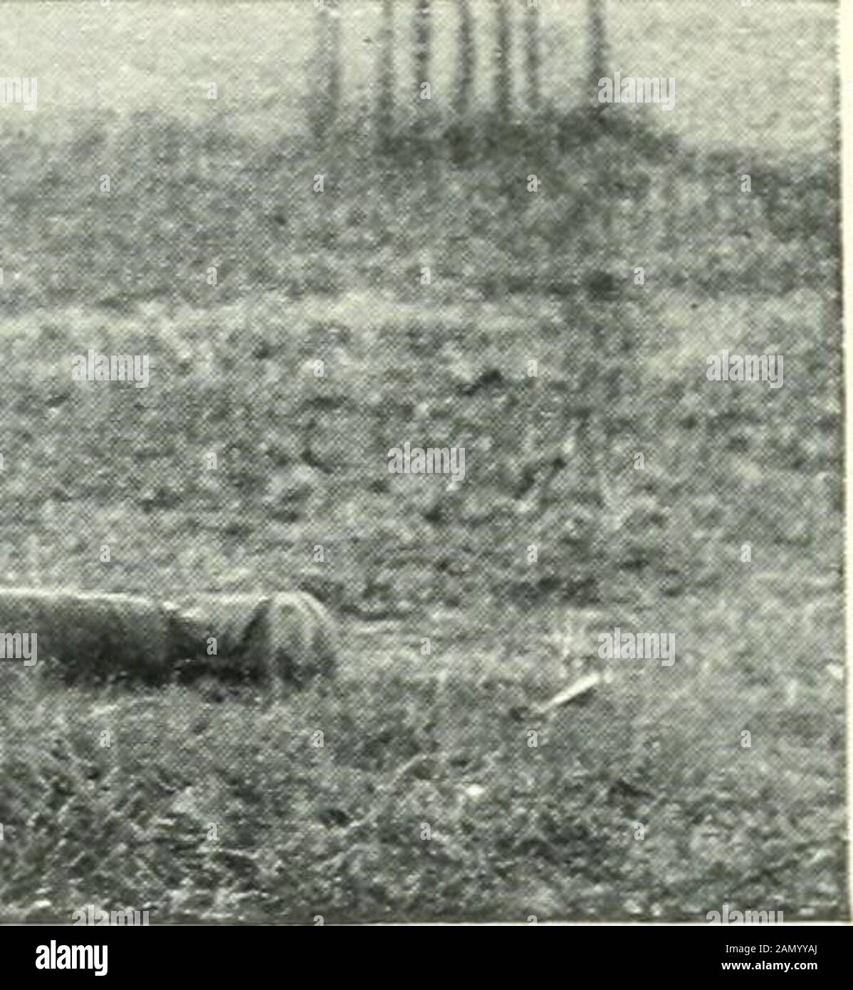 Judging distance hi-res stock photography and images - Alamy