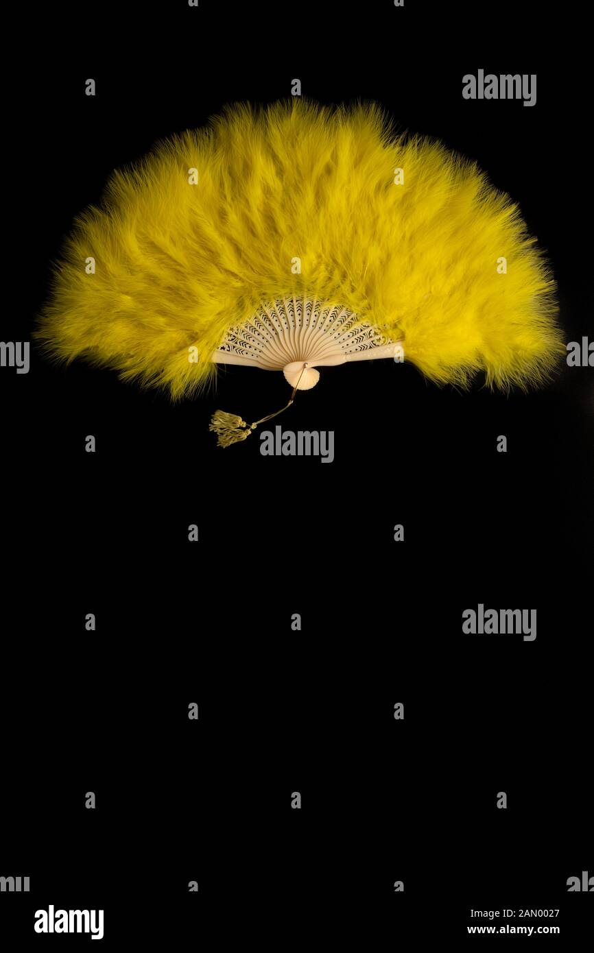 Asian folding hand fan hi-res stock photography and images - Alamy