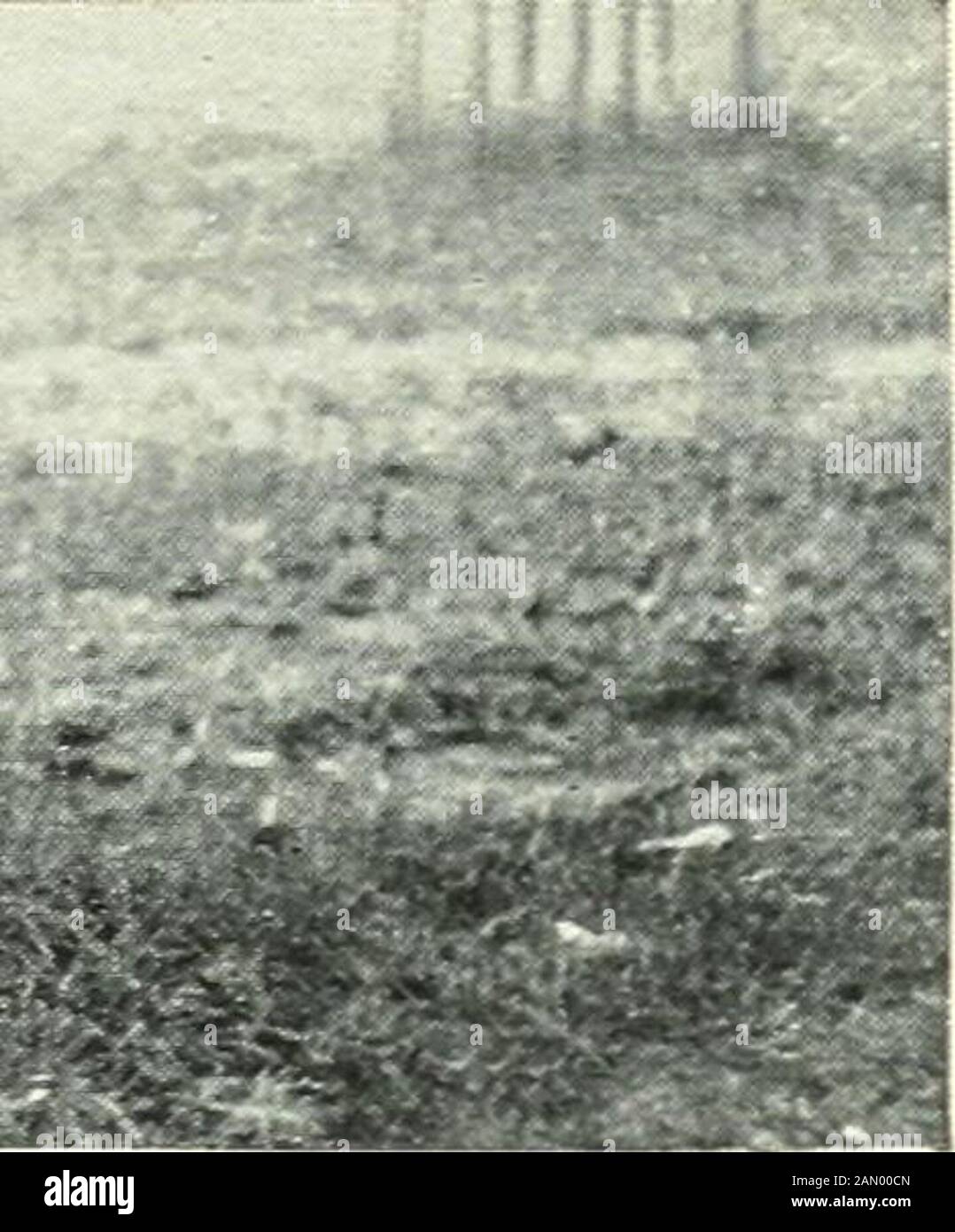 Judging distance hi-res stock photography and images - Alamy