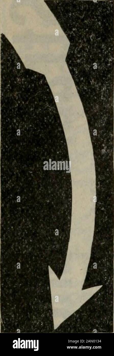 Alice eells hi-res stock photography and images - Alamy