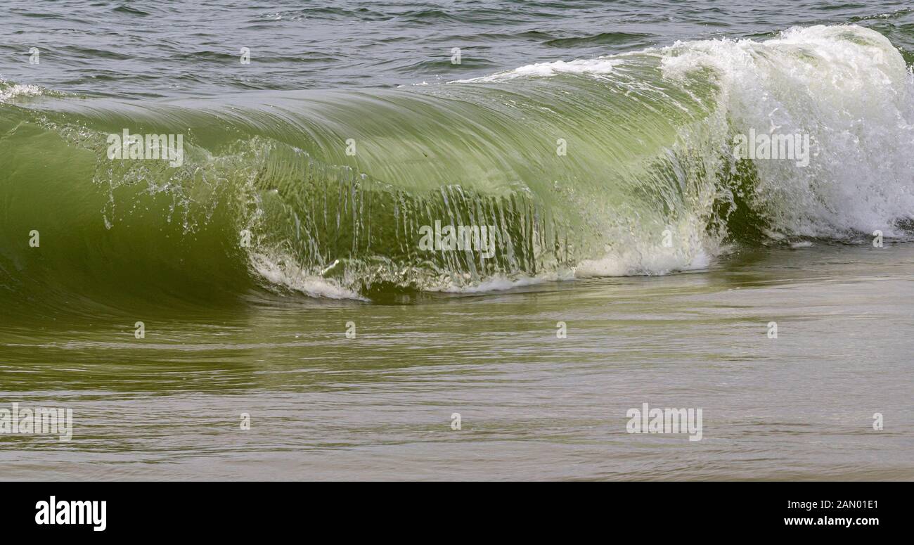 A normal Atlantic Ocean wave is collapsing on itself along the shore of ...