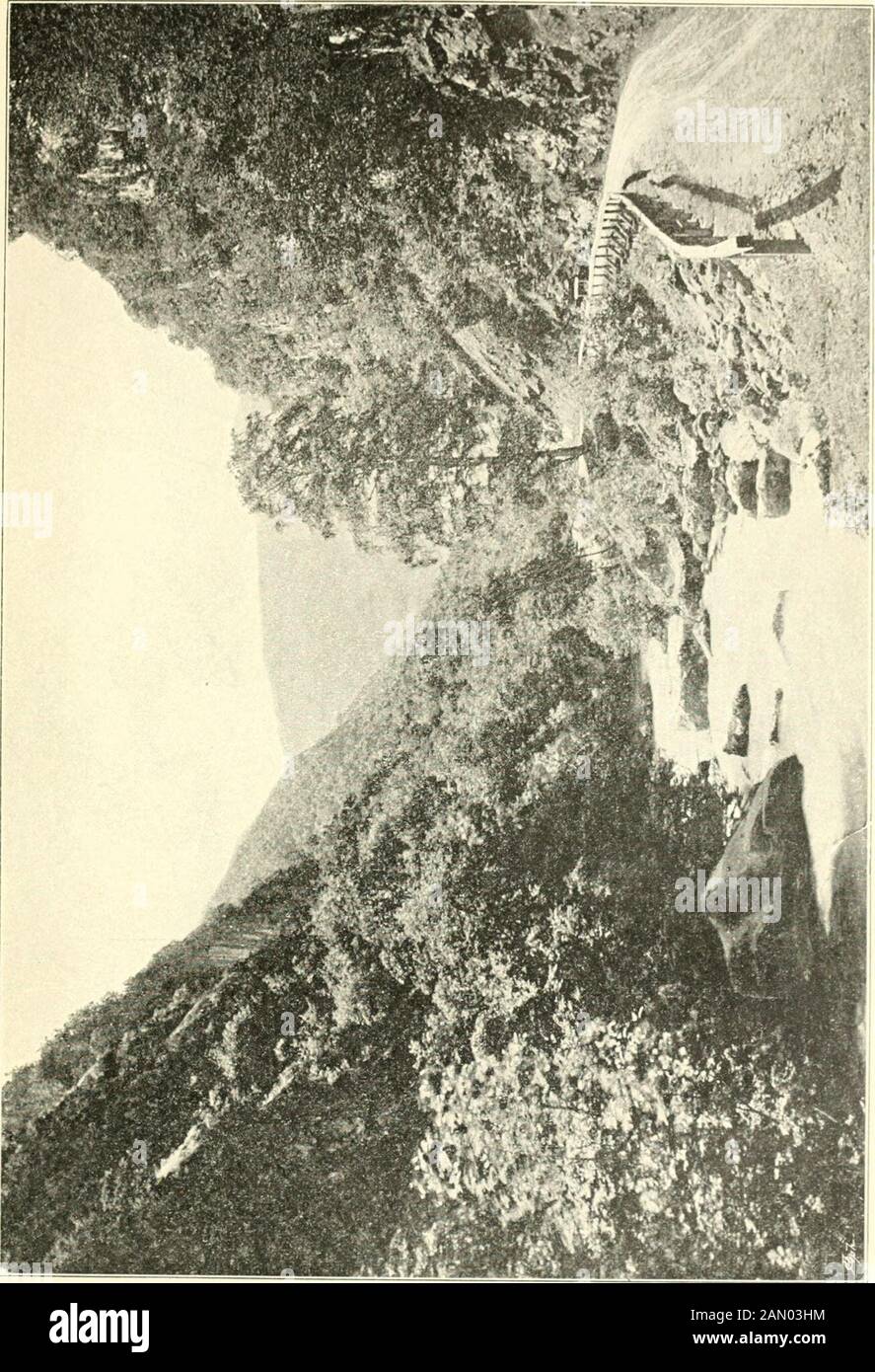 Kreuz und quer kreuzen hi-res stock photography and images - Alamy