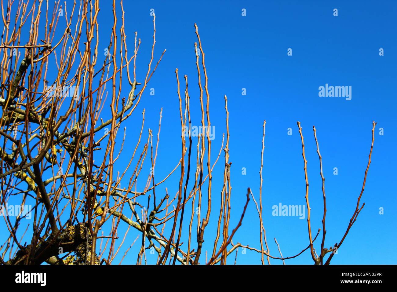 Water arms hi-res stock photography and images - Alamy