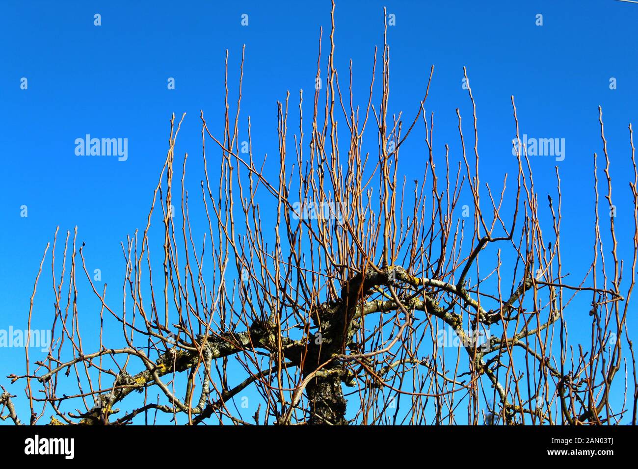 Water arms hi-res stock photography and images - Alamy