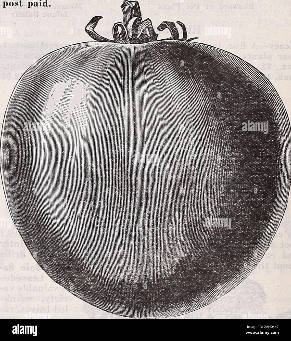 Scalded tomato hi-res stock photography and images - Alamy