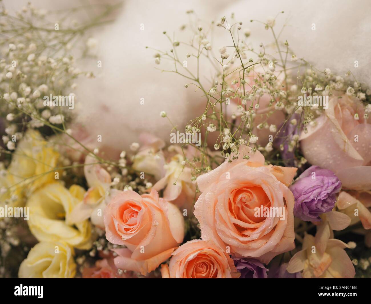 old rose color rose flower arrangement Beautiful bouquet on blurred of ...