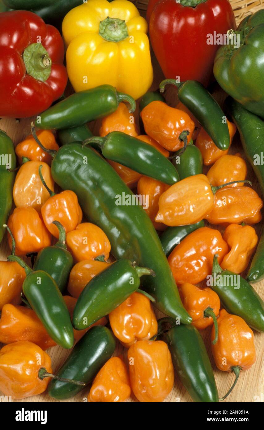 Mixed bell peppers hi-res stock photography and images - Alamy