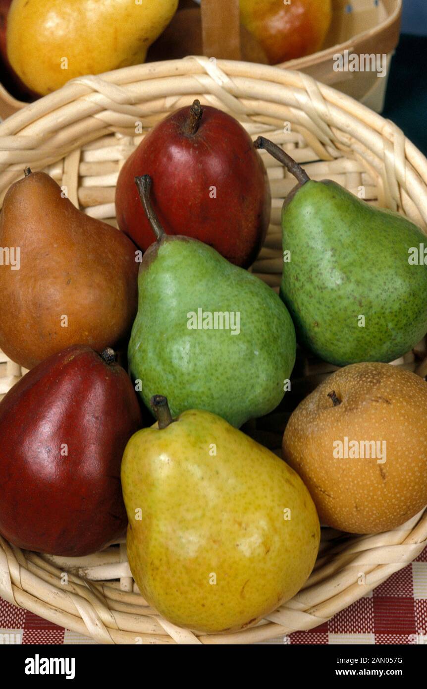 Pears pyrus communis hi-res stock photography and images - Alamy