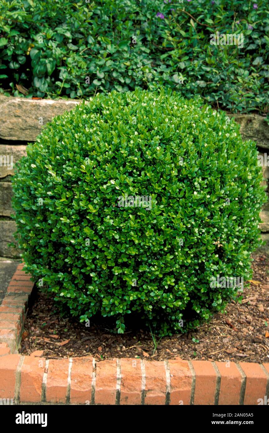 Brick edging hi-res stock photography and images - Alamy