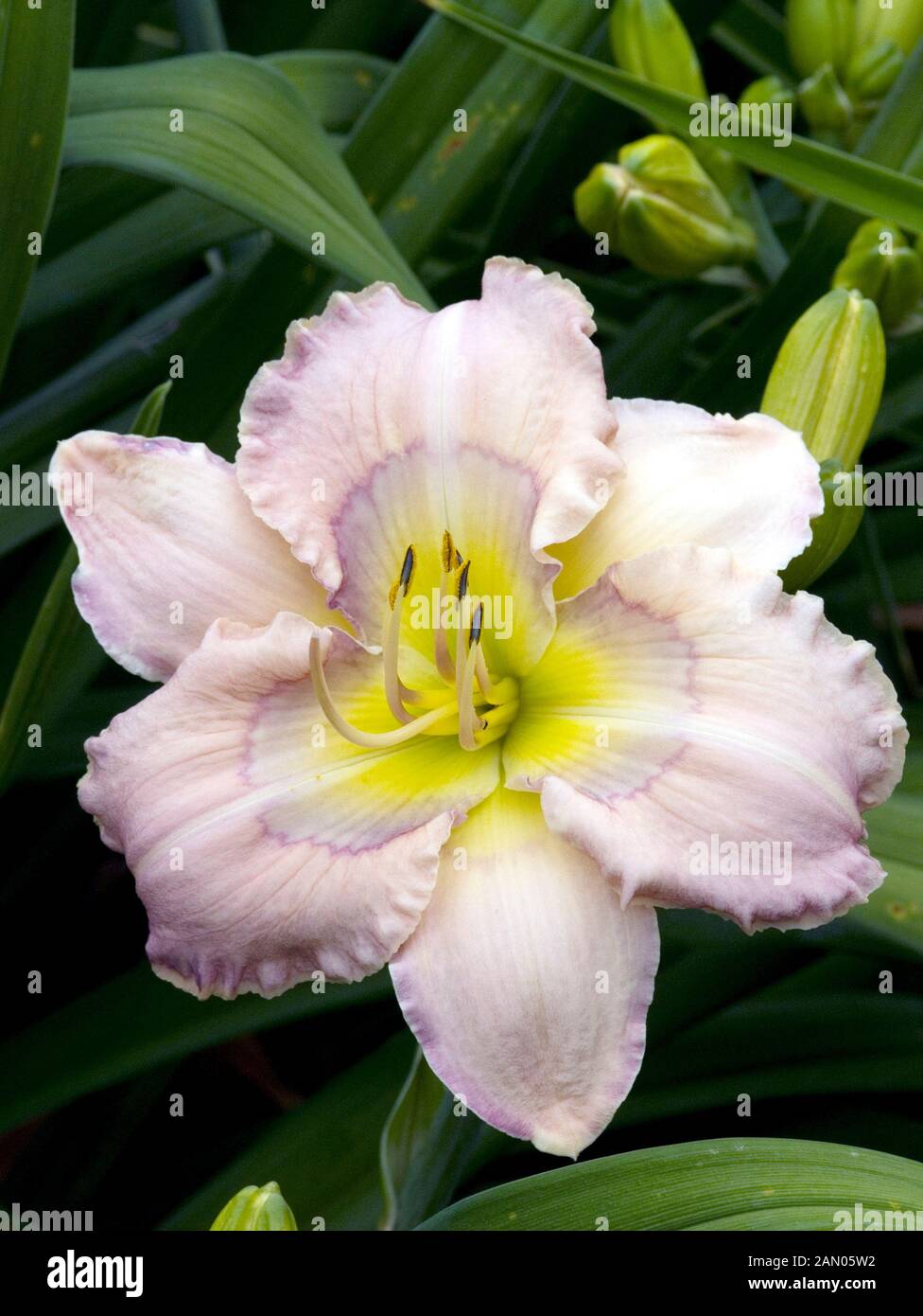 Magnificent rainbow hi-res stock photography and images - Alamy
