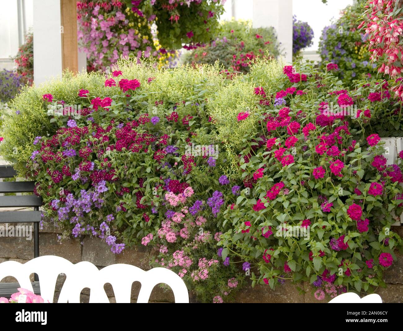 Annual mix hi-res stock photography and images - Alamy