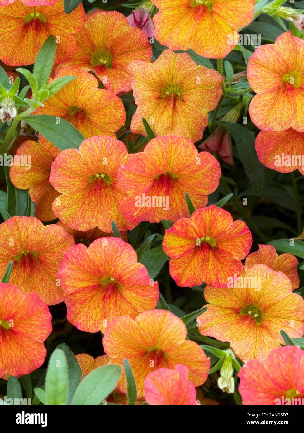 Fire bells hi-res stock photography and images - Alamy