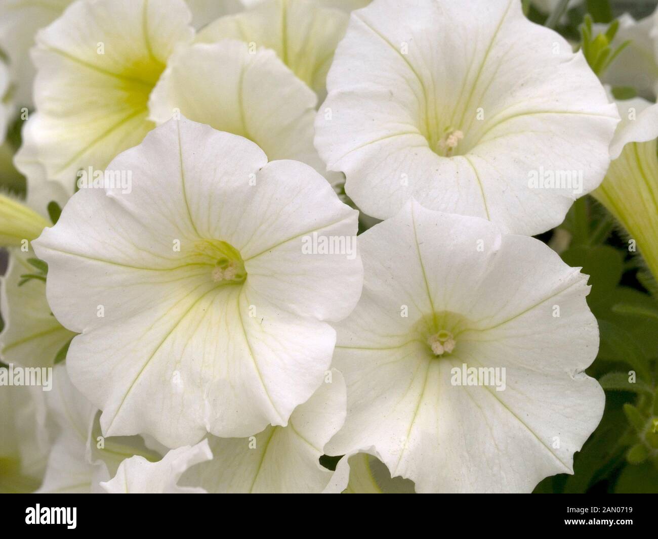 Shock wave hi-res stock photography and images - Alamy