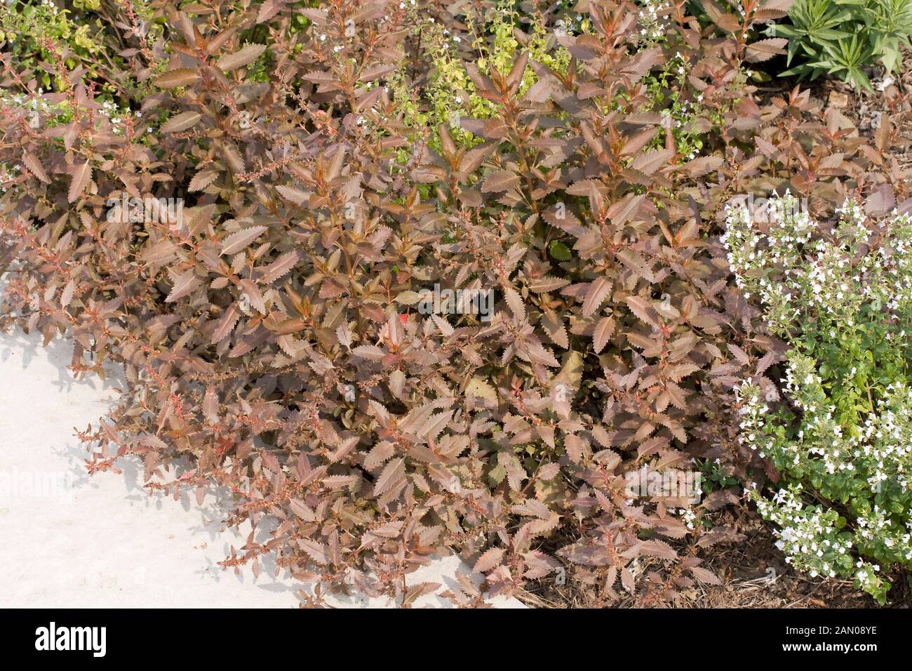 Wellington bronze hi-res stock photography and images - Alamy